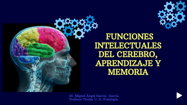 7. Funciones intelectuales del cerebro, aprendizaje y memoria