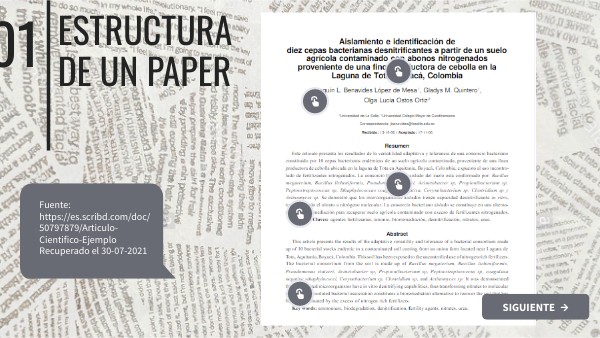 PARTES DE UN PAPER