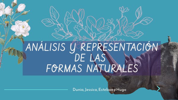 Análisis y representación de formas naturales Análisis y representación de formas naturales