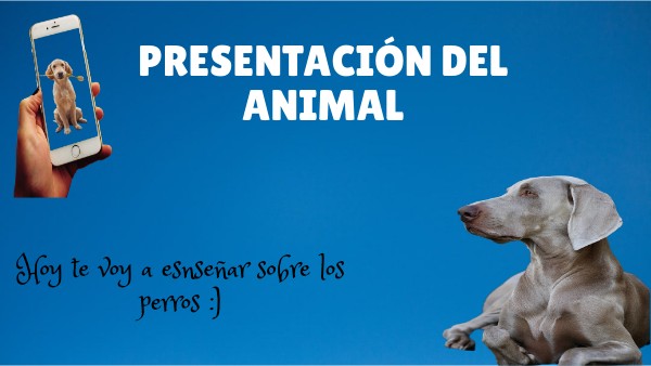 Presentación sobre los animales