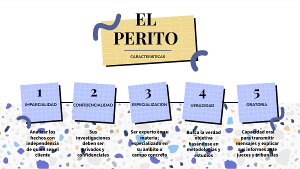 CARACTERISTICAS DEL PERITO