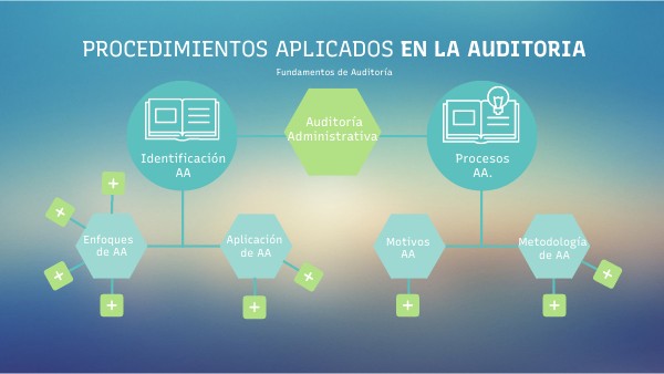 MAPA MENTAL, Procedimientos aplicados en la auditoria
