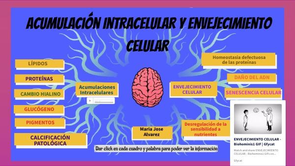 Acumulación Intracelular y Envejecimiento Celular