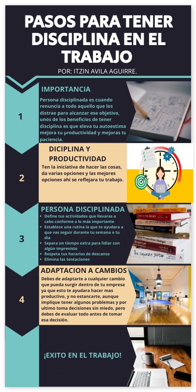 DISCIPLINA EN EL TRABAJO