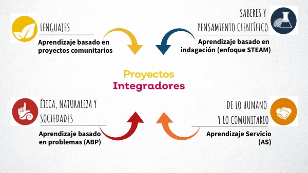 Proyectos Integradores y NEM