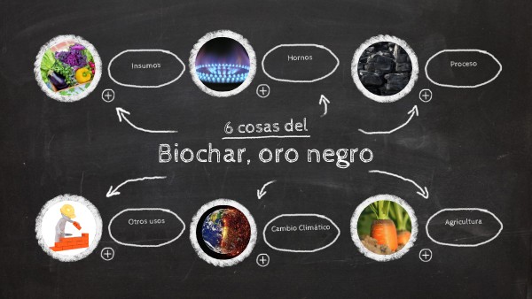 Biochar