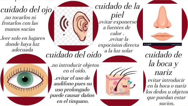 cuidado de los sentidos