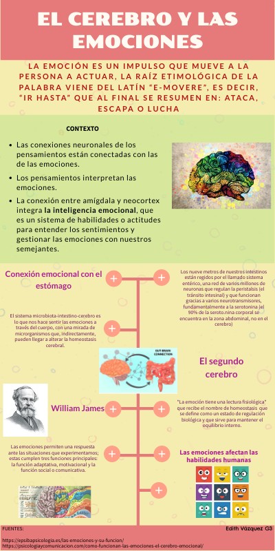 El cerebro y las emociones