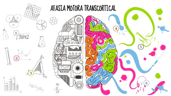 Afasia motora transcortical