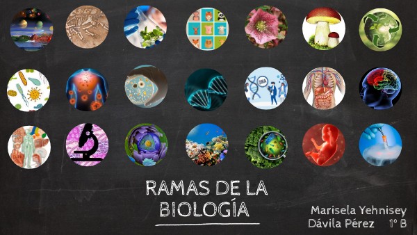 RAMAS DE LA BIOLOGÍA