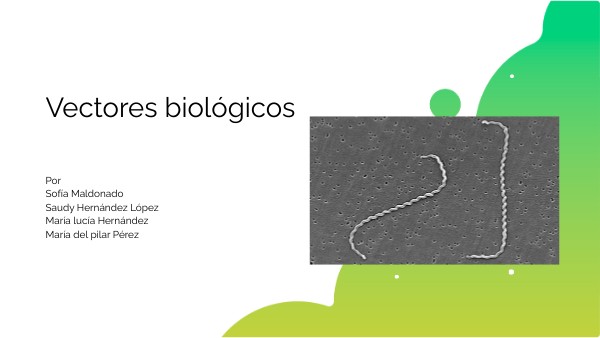 Vectores biológicos