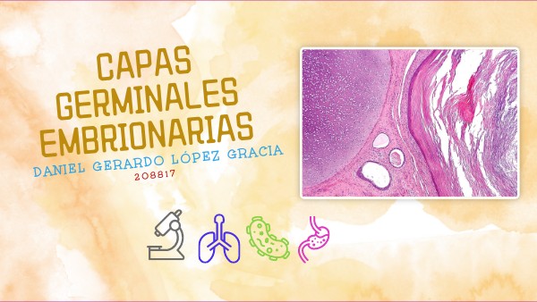 Capas Germinales Embrionarias