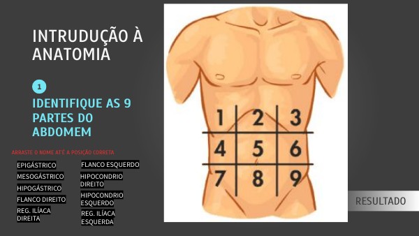 Introdução a anatomia