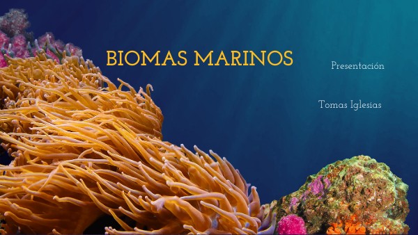 Il Clima Del Bioma Marino
