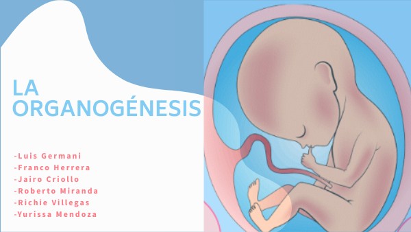 La organogenesis