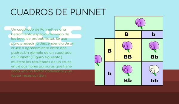 Cuadros de Punnet