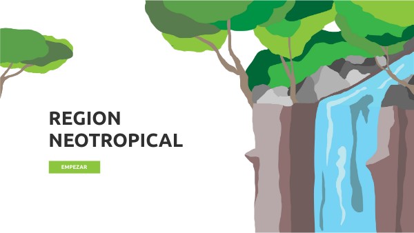 presntacion neotropical