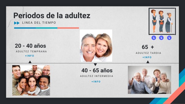 periodos de la adultez