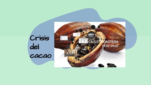 Crisis de la cacao