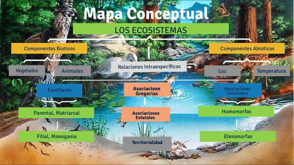 MAPA CONCEPTUAL ECOSISTEMAS