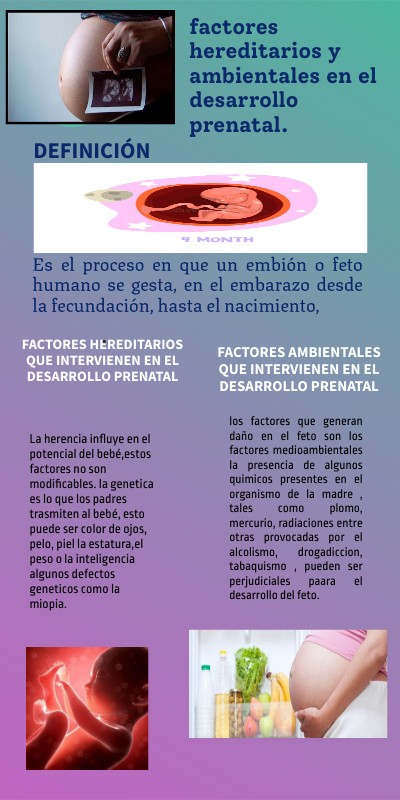 factores hereditarios y ambientales en el desarrollo prenatal