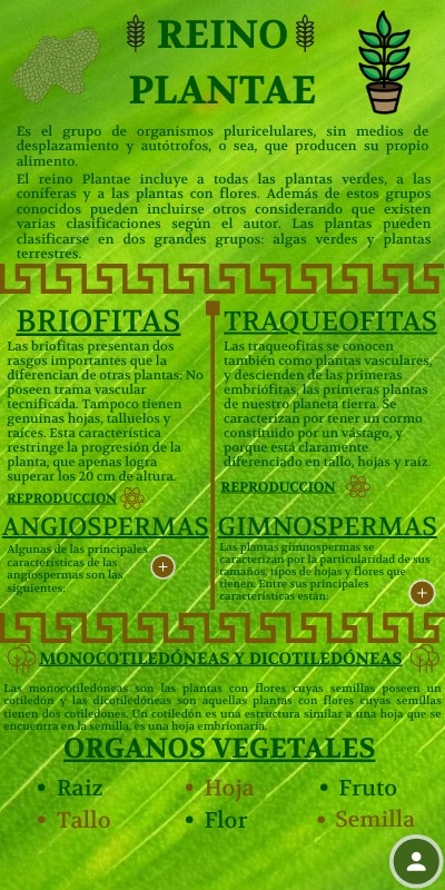 INFOGRAFIA REINO PLANTAE