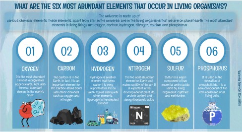 What Are the Six Most Abundant Elements That Occur in Living Organisms