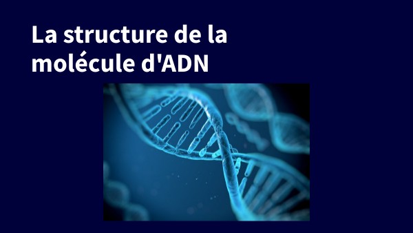La structure de l'ADN