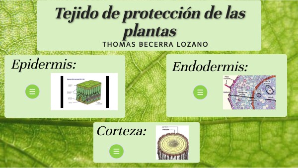 Tejido de protección de las plantas