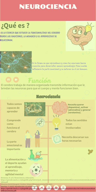 Infografía Neurociencia