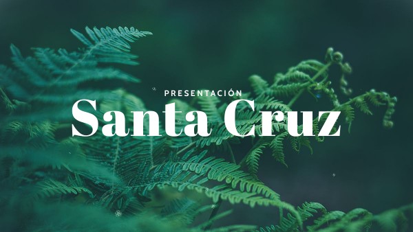 PresentaciÓn Santa Cruz