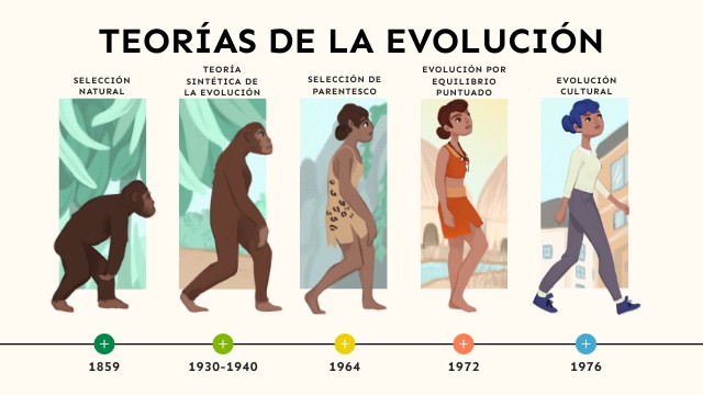 TEORÍAS DE LA EVOLUCIÓN