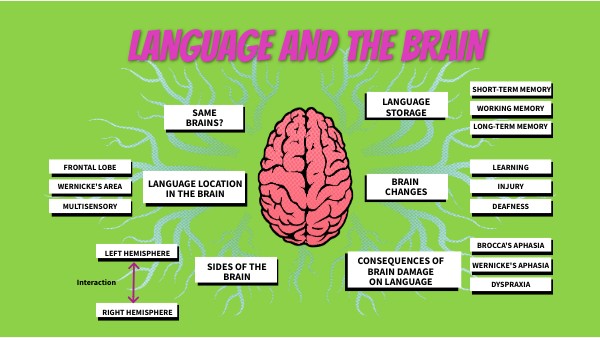 LANGUAGE AND THE BRAIN