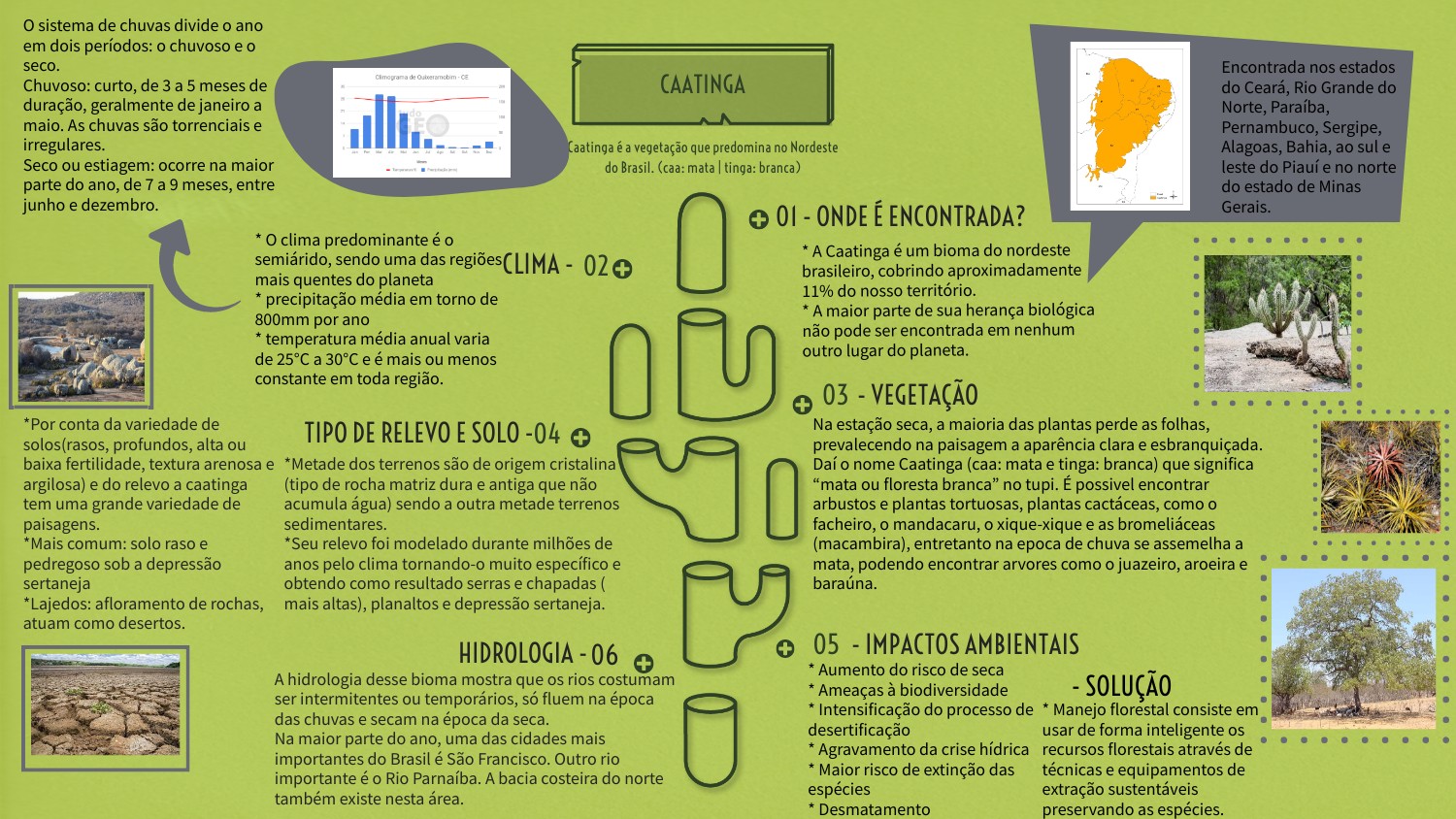 Caatinga - Geografia