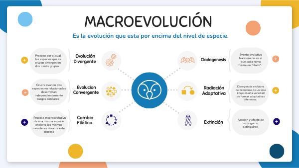 Macroevolución