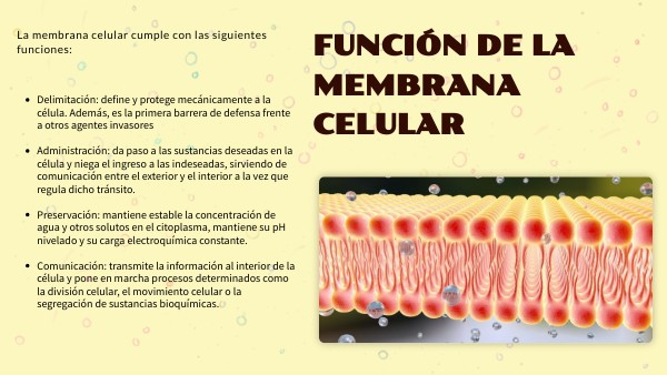 FUNCIÓN DE LA MEMBRANA CELULAR DSAB