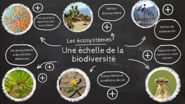 Ecosystèmes , une échelle de biodiversité