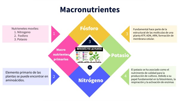 Macronutrientes_Osman Peña