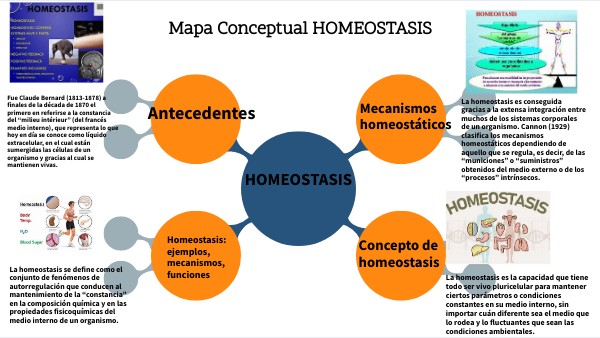 MAPA Mental de Homeostasis