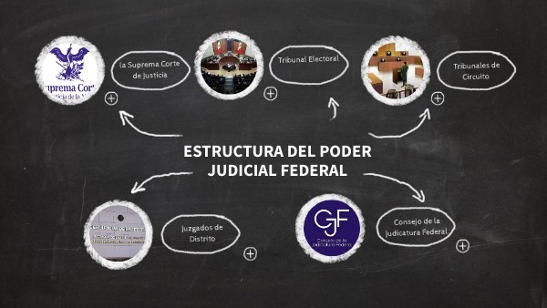 ESTRUCTURA DEL PODER JUDICIAL FEDERAL