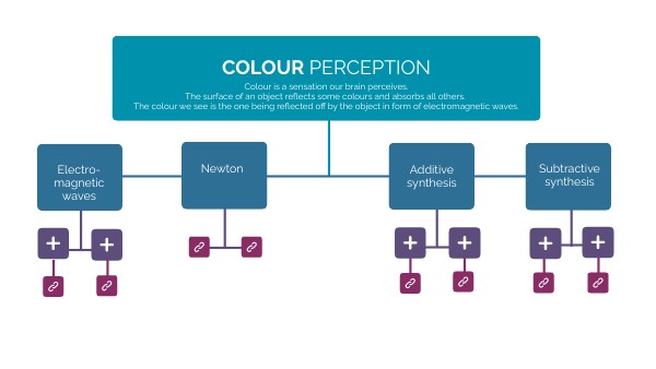 COLOUR PERCEPTION