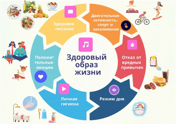 Здоровый образ жизни