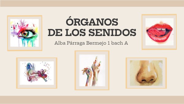 ÓRGANOS DE LOS SENTIDOS