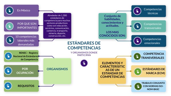 ESTANDARES DE COMPETENCIAS Y SUS ORGANISMOS