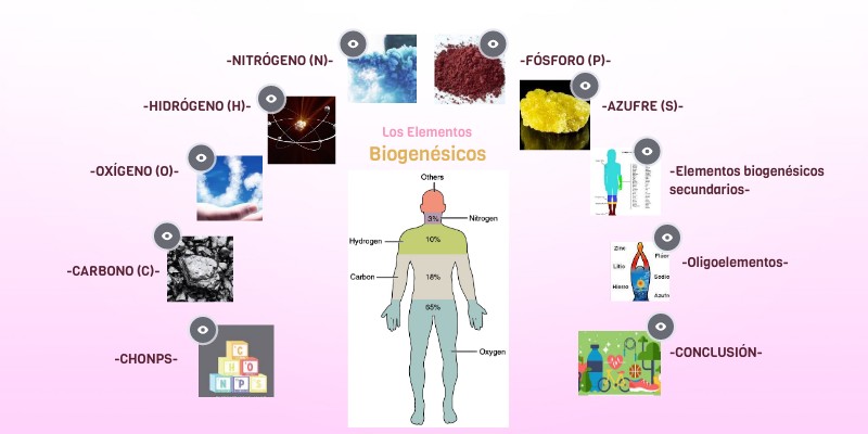 Elementos Biogenésicos