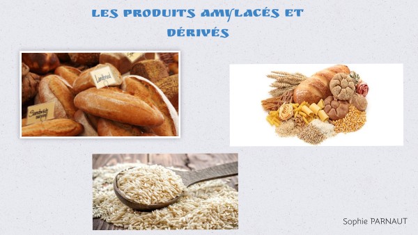 Les produits amylacés et dérivés