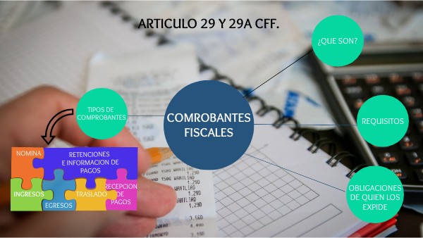 ART 29 Y 29A CFF.