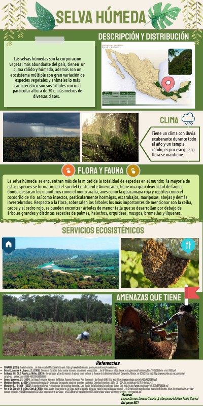 Infografía Selva húmeda