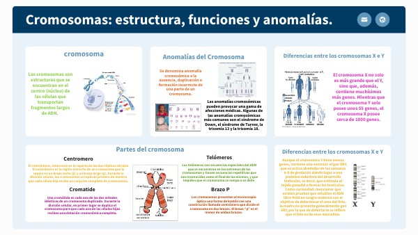 Cromosomas: estructura, funciones y anomalías.