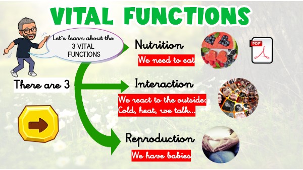 Vital Functions and Systems